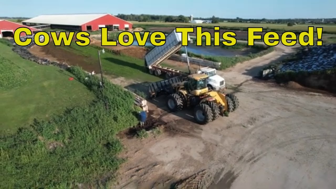 Fourth Cut Alfalfa- Talking with Cody and Dad. (Drone Footage Included ...