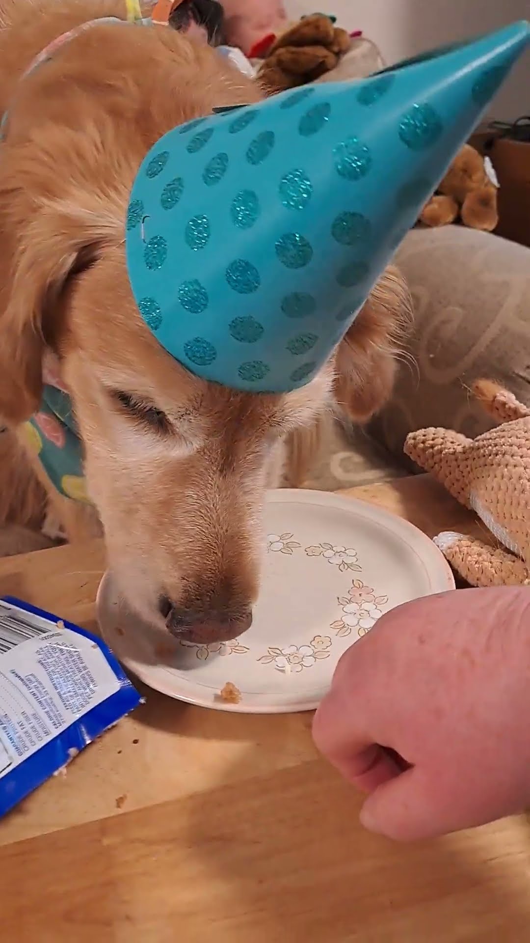 Zeke eating his birthday cake 🎂 - YouTube