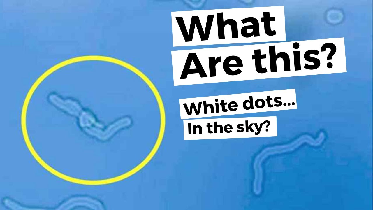 What are these objects you see in the sky? - YouTube