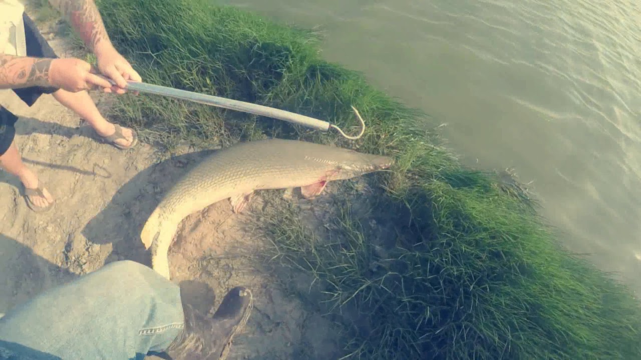 Fishin' Adventure #4 Jumping Gar! - YouTube
