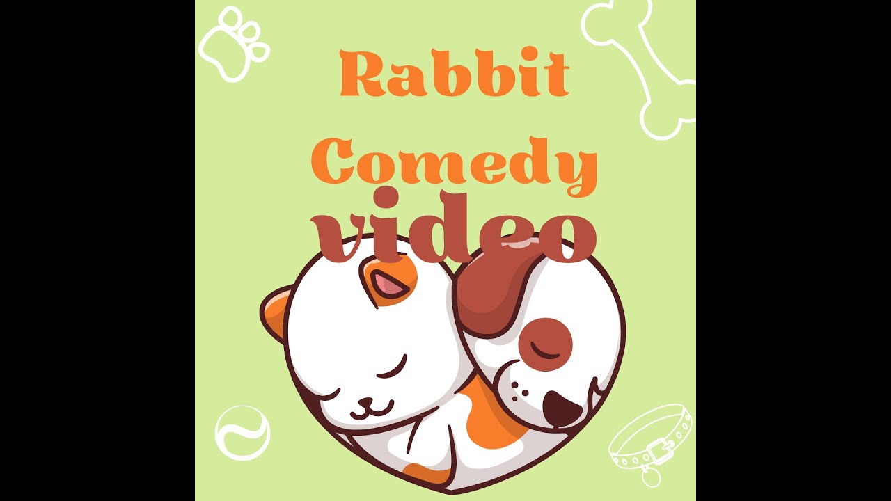 Rabbit comedy video - YouTube