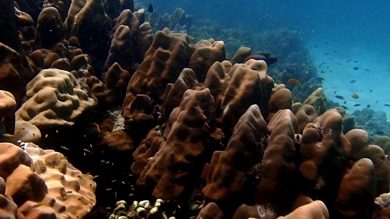 Adang Bay, May 2018 - YouTube