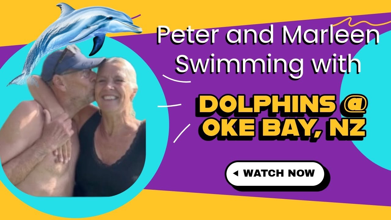 Swimming with Dolphins at Oke Bay, Bay of Islands - YouTube
