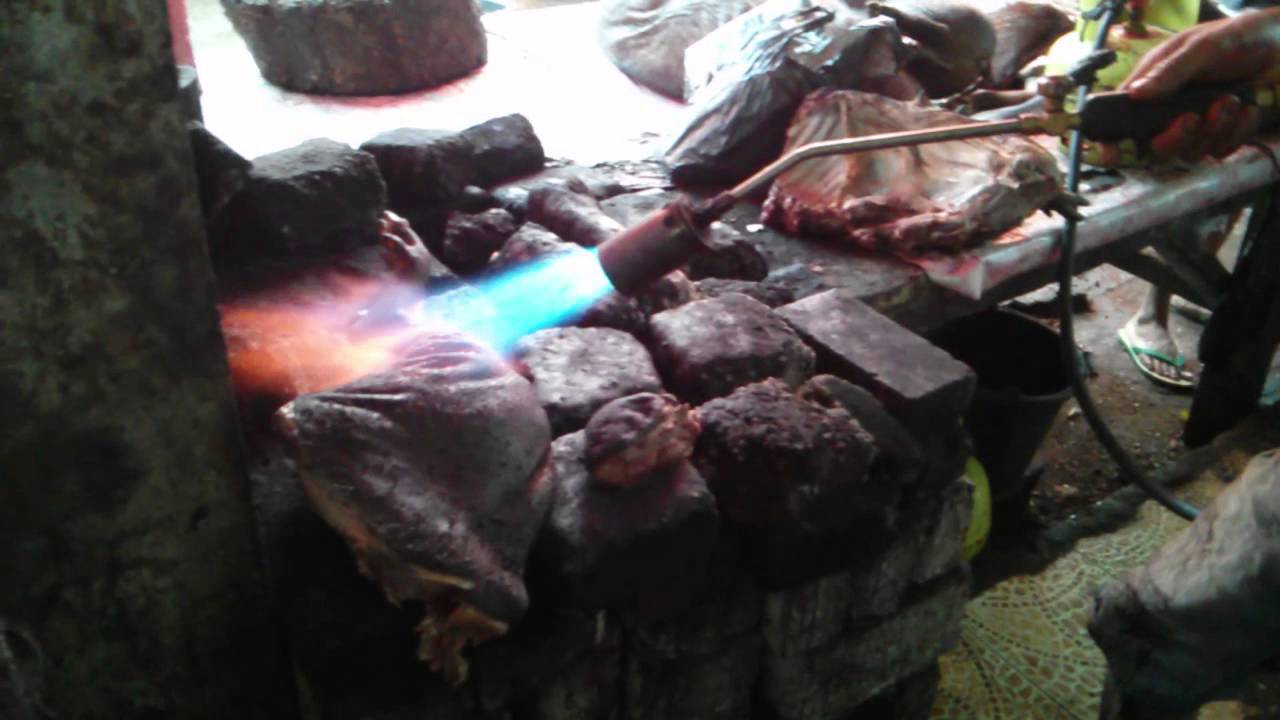 WILD BOAR ROAST PROCESSING@TOMOHON-INDONESIA - YouTube