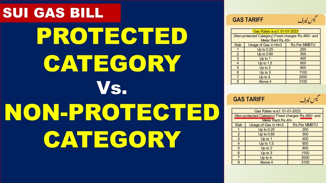 8. Protected Category Vs Non-Protected Category|Gas Bill|Hindi - YouTube