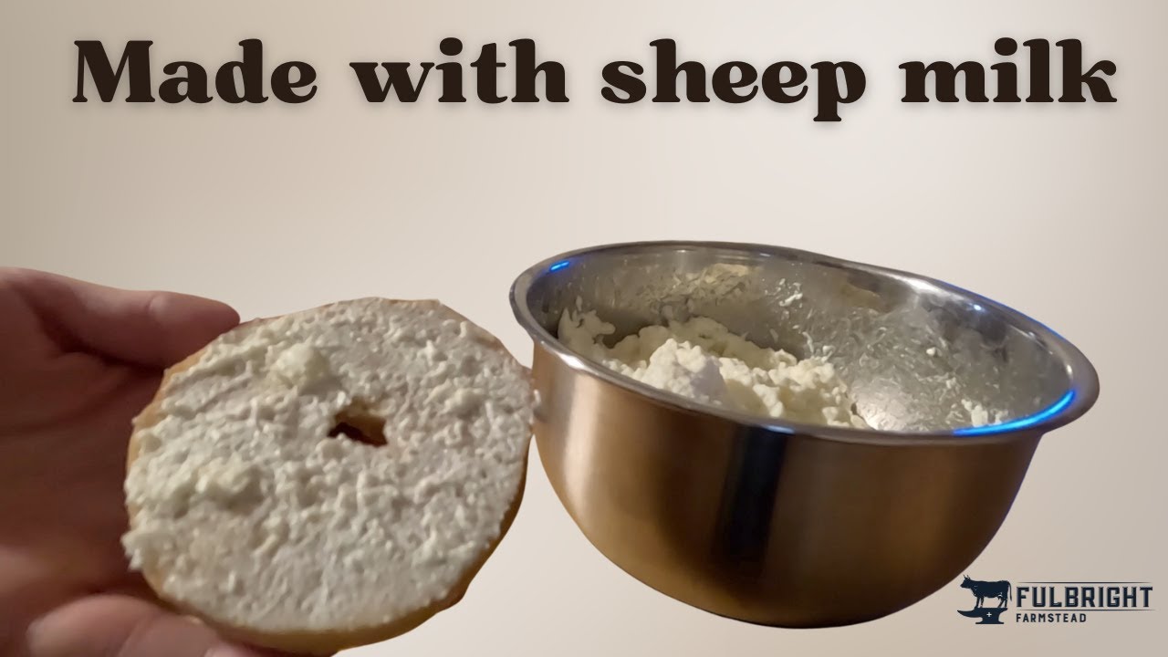 Sheep Milk Cream Cheese | Don't make my mistake! - YouTube
