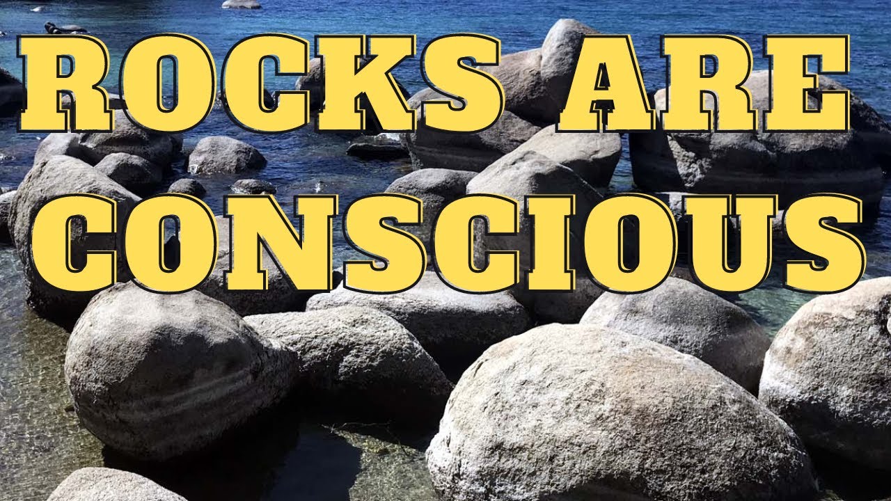 Rocks Are Conscious - Phenix | Street Epistemology - YouTube