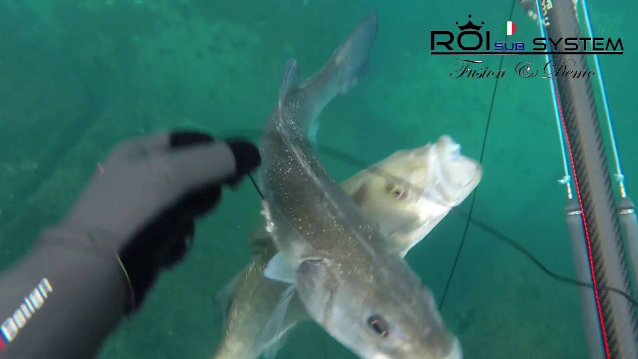 Labrax - Barcelona 2015/16 Parte1 - YouTube