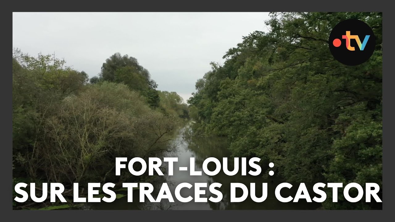 Un lieu, des histoires à Fort-Louis : sur les traces du castor ...