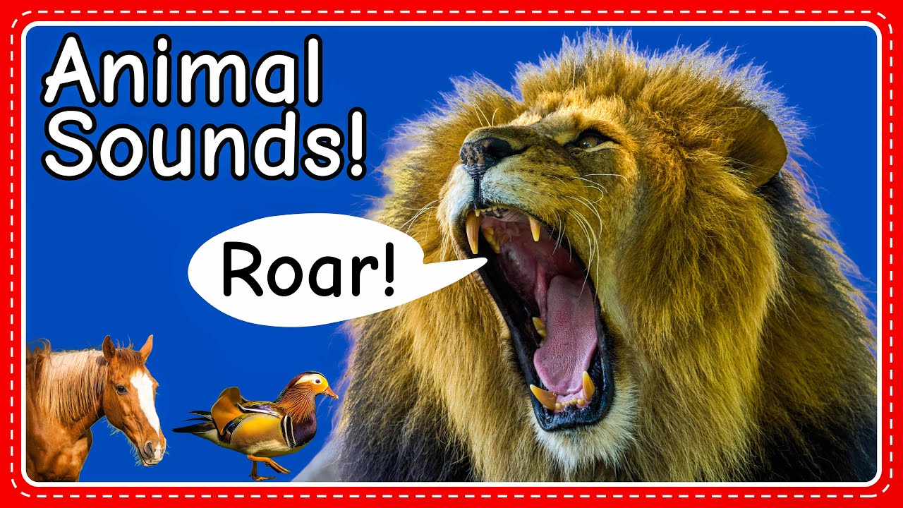 Animal Sounds for Kids | 34 Amazing Animals with Names, Sounds and Fun ...
