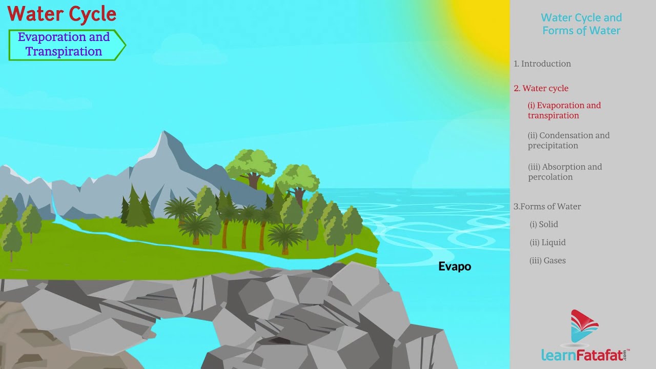 Water Cycle and Forms of Water | Water Class 6 Science - YouTube