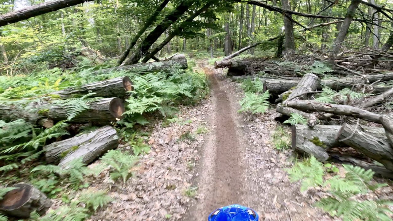 Ultimate Guide to Dirt Bike Trails in Michigan | Big O - YouTube