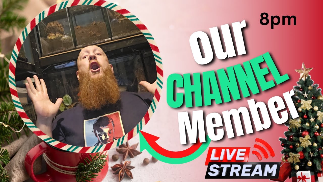 Channel members only - YouTube