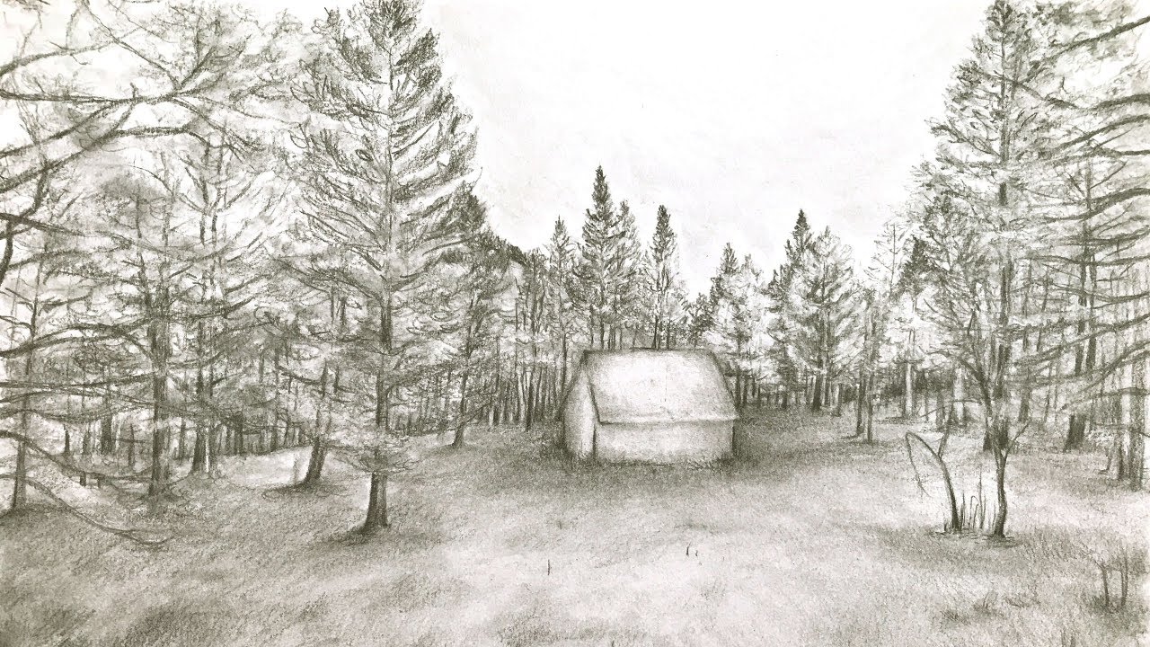 How to Draw Forest Step by Step 手繪素描森林小屋 - YouTube