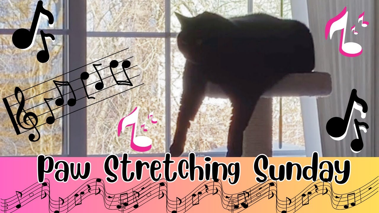 1040) Sunday Paw Stretching with Tootsie - YouTube