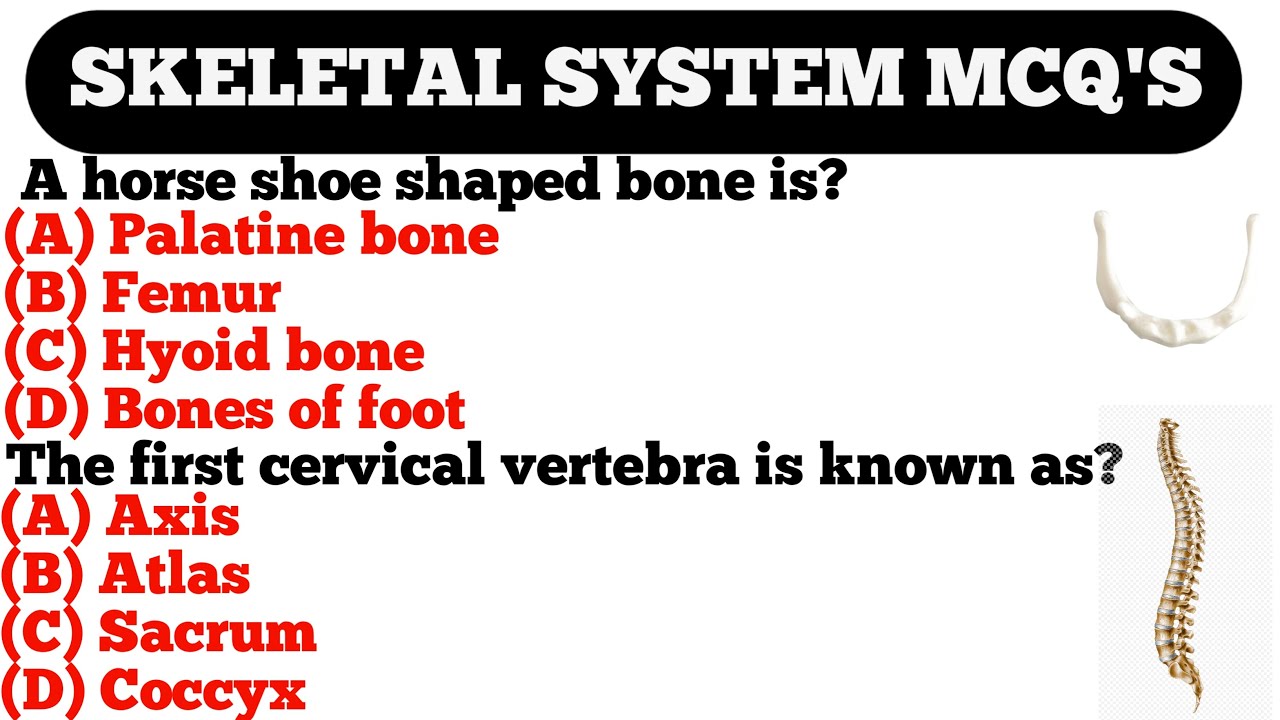 Skeletal system mcq's|| mcq on Human Skeleton || human skeleton mcq's ...