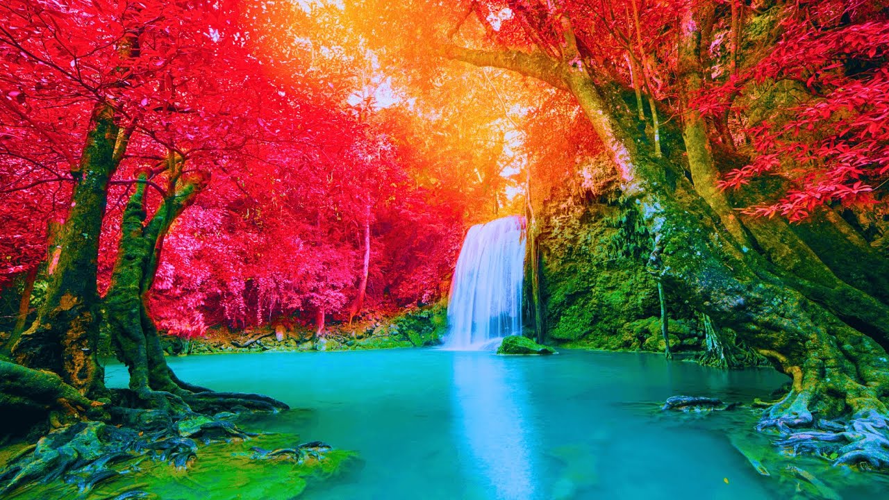 Rising Nature Sounds🌞 Fresh Rising Ambience🌿Sounds For Meditation ...