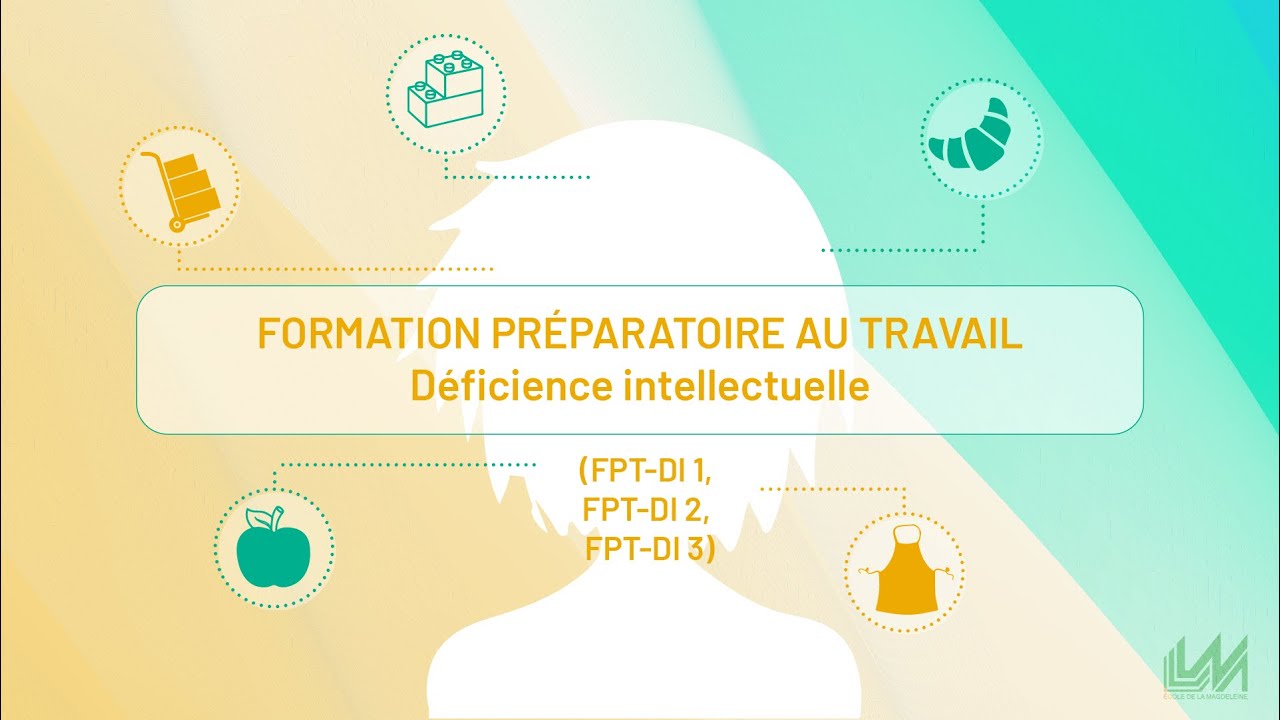 FPT-DI | Formation préparatoire au travail ̶̶̶ Déficience ...