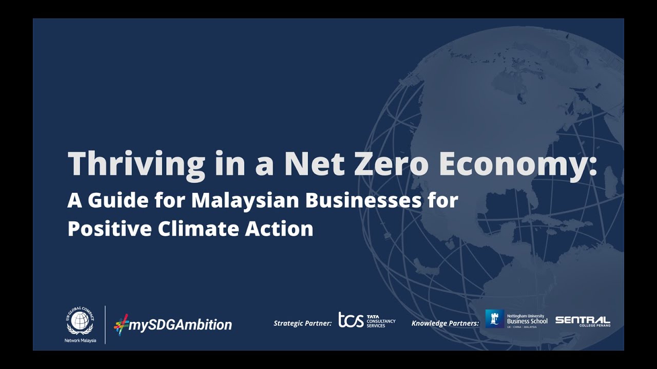 Thriving In A Net Zero Economy: A Guide For Malaysian Businesses For ...