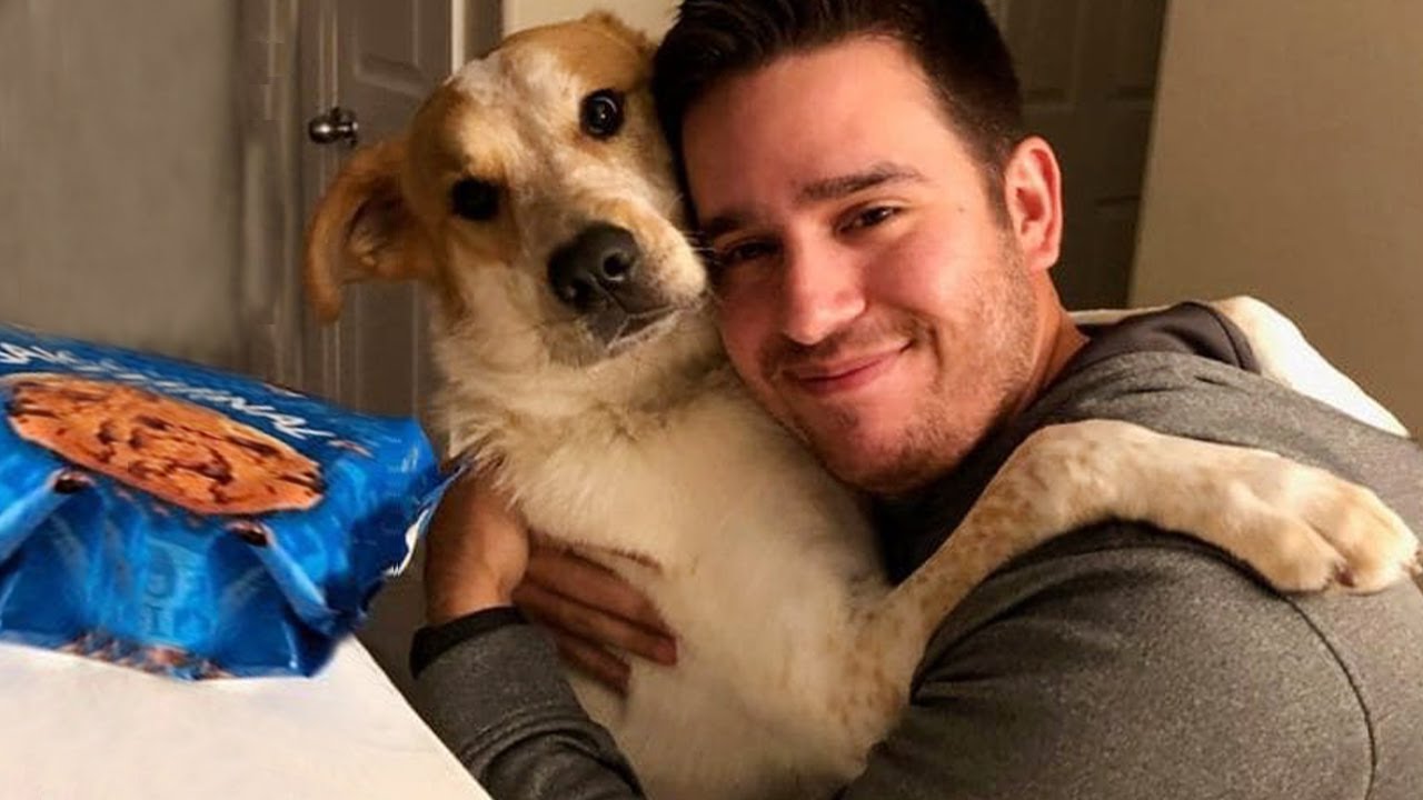 When your dog loves your boyfriend more than you 😱Cute Dog And Human ...