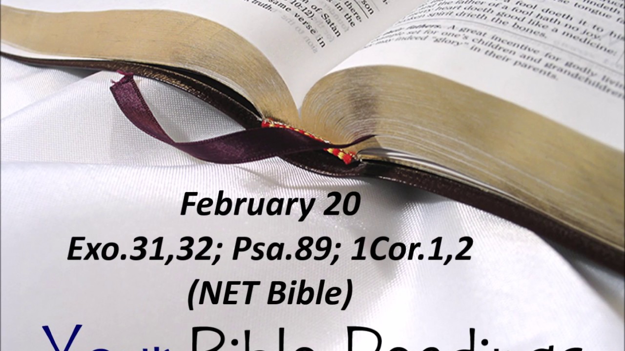 Your Bible Readings for February 20 - YouTube