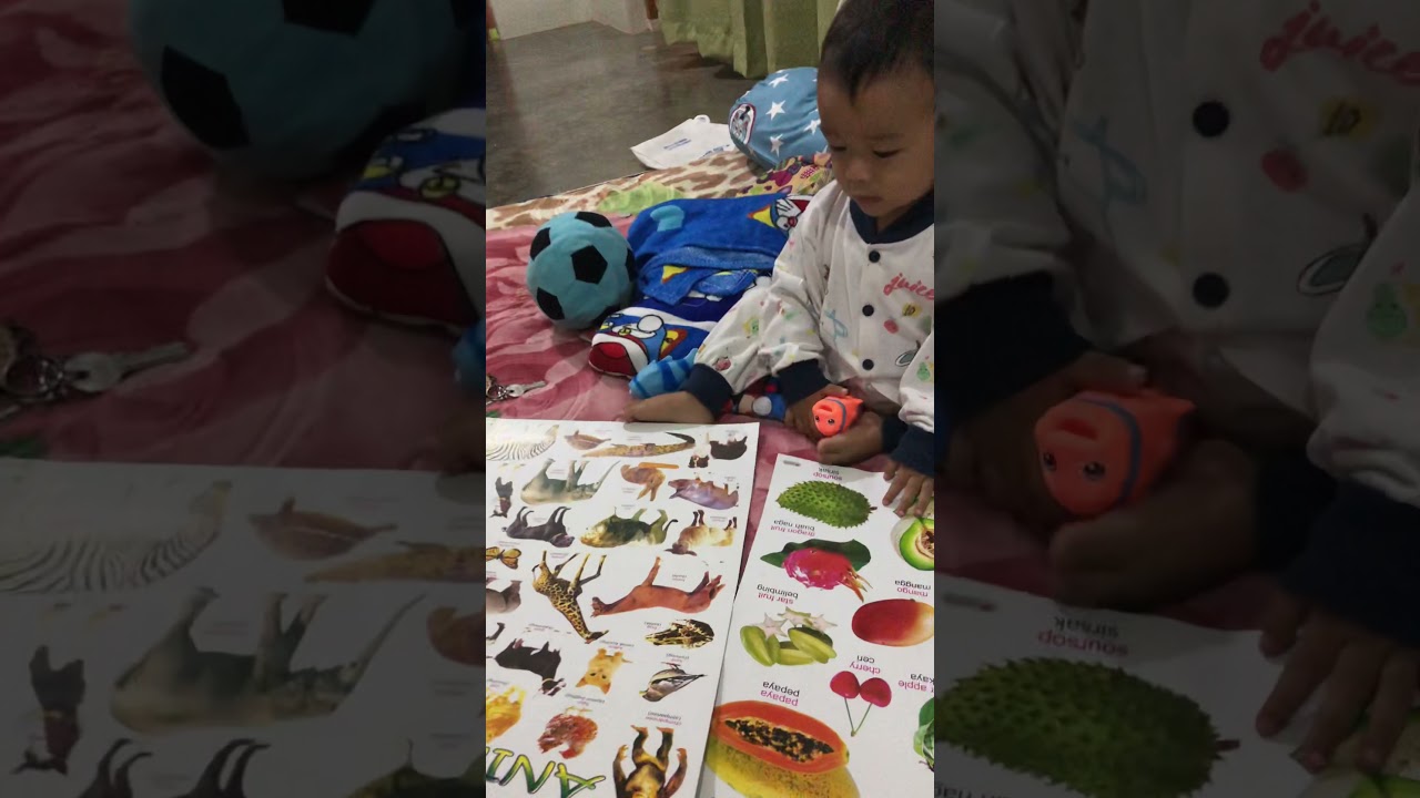 Modal di bawah 5 ribu bisa edukasi anak (Rama Rama Rama) - YouTube