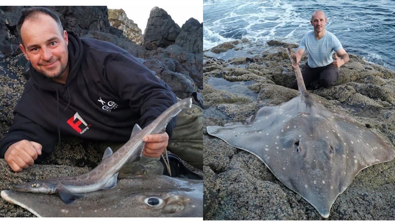 Skate fishing in Scotland with GG guiding (first black mouth dogfish ...