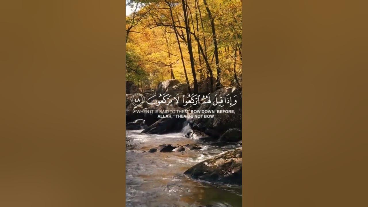 ويل يومئذ للمكذبين Youtube