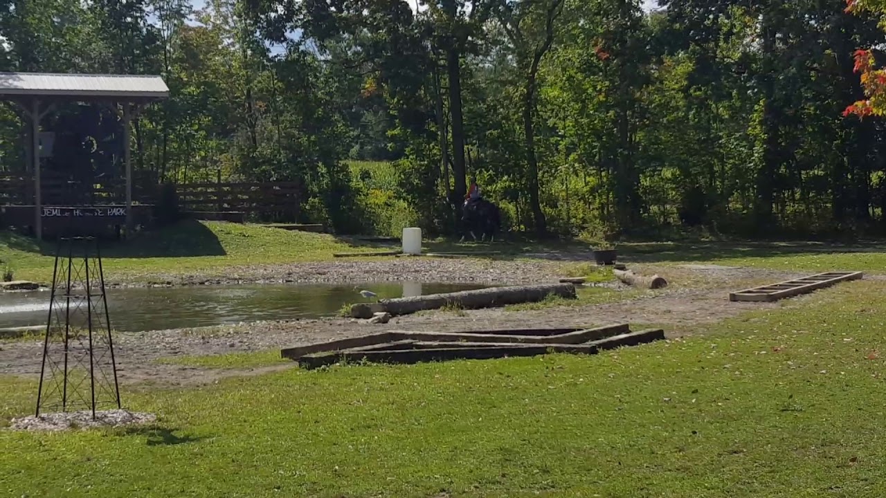 Jemily Horse Park Sidney Hawk Trail Pattern Class Maximo Ohio - YouTube