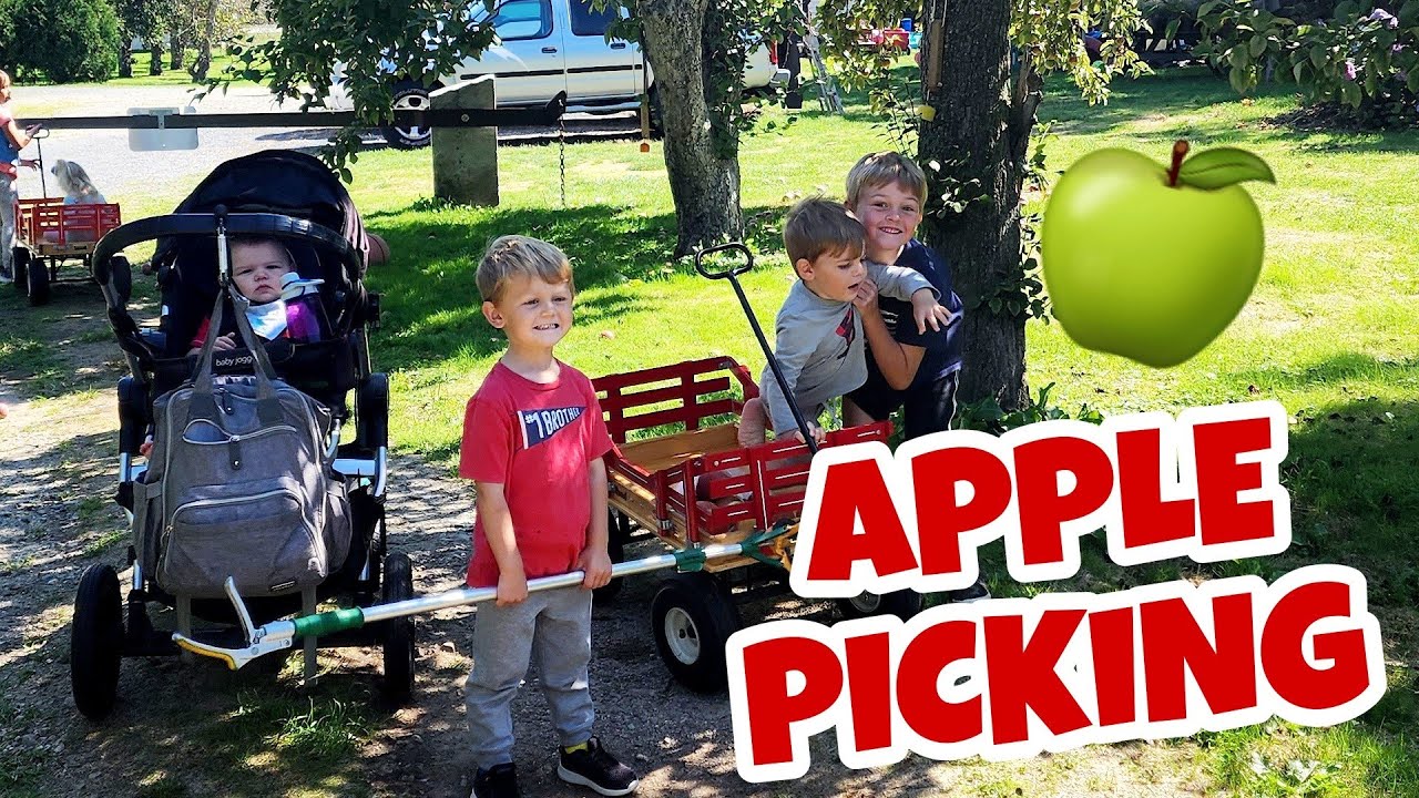 APPLE PICKING FUN WITH FRIENDS 🍏🍎 - YouTube