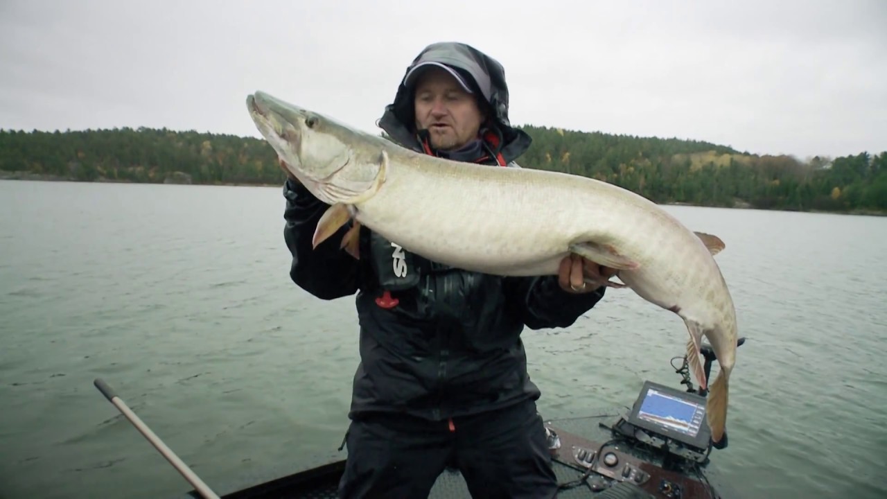 Monster Pike, Muskie, and Smallmouth on Georgian Bay - The Fishing ...