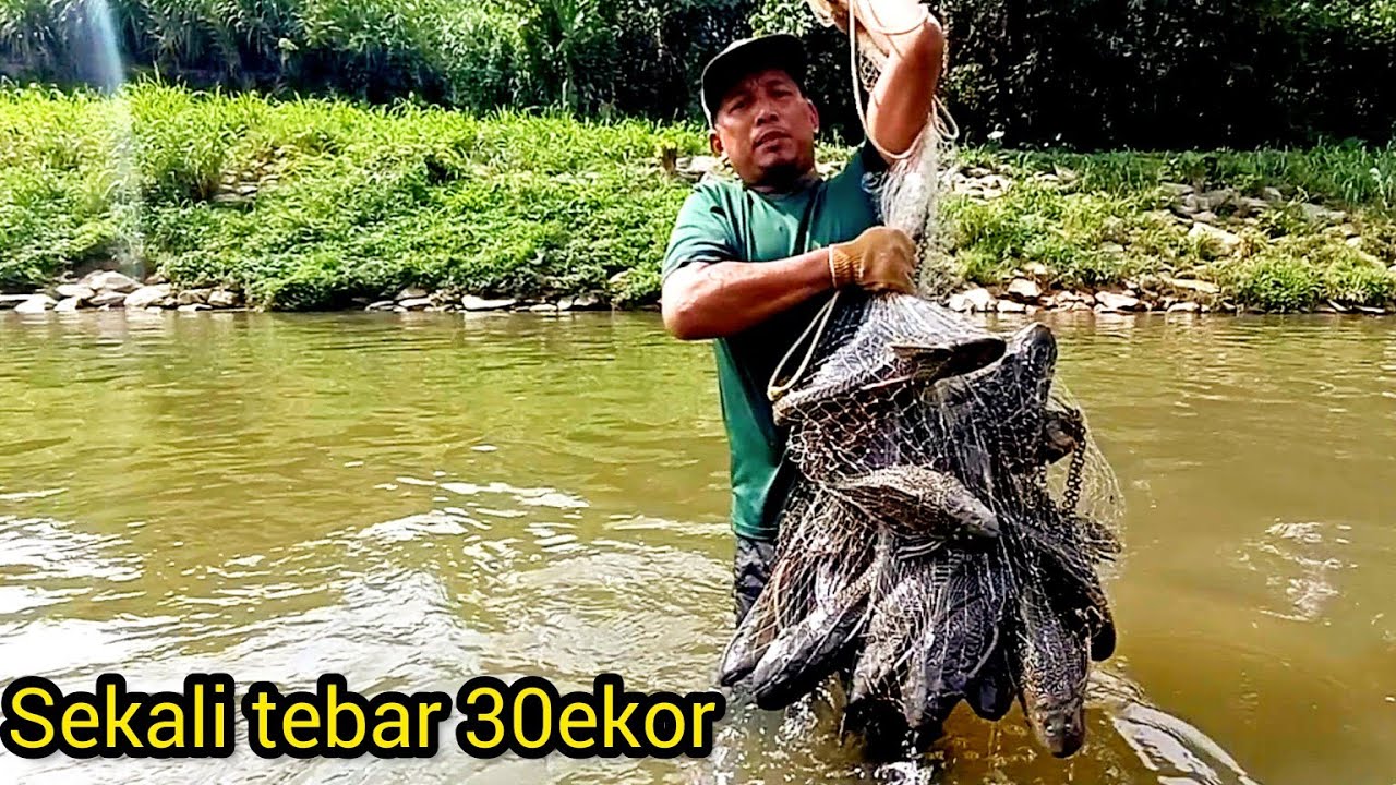 Mencari Telur Ikan Bandaraya Gengdunia Umpankeli Youtube