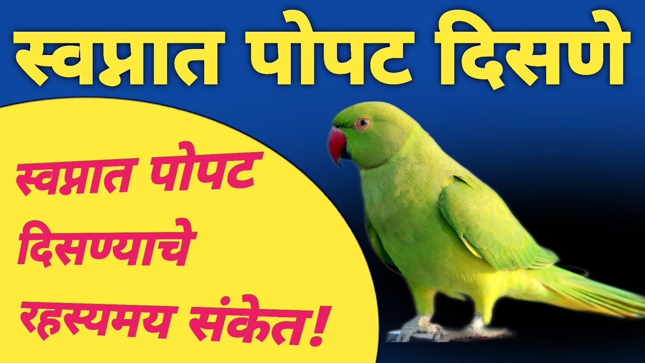 स्वप्नात पोपट दिसणे | Swapnat Popat Disne | Parrot Dream Interpretation ...