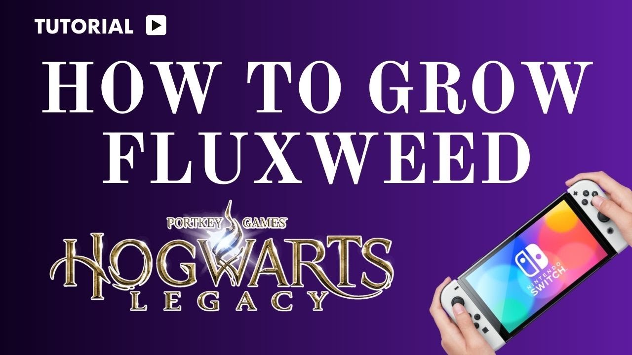 How to Grow Fluxweed in Hogwarts Legacy: Step-by-Step Guide - YouTube