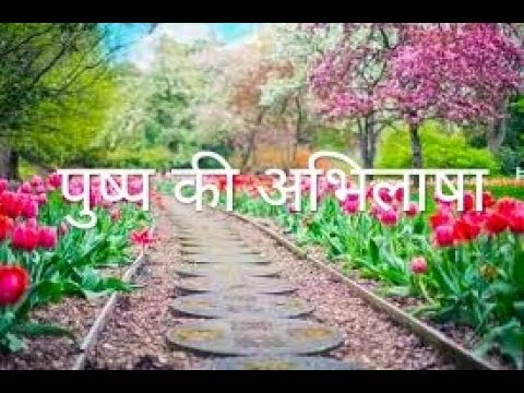 Pushp ki abhilasha poem || A flower's wish || Wishfull Recitation ...