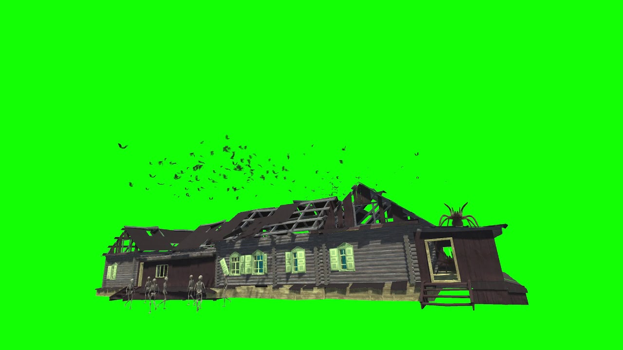Haunted House Bats Spiders Skeletons No3 Animation Green Screen - YouTube