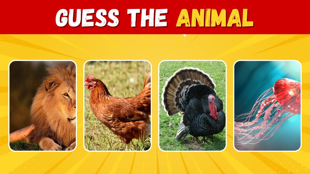 Guess the animal | Play And Learn - YouTube