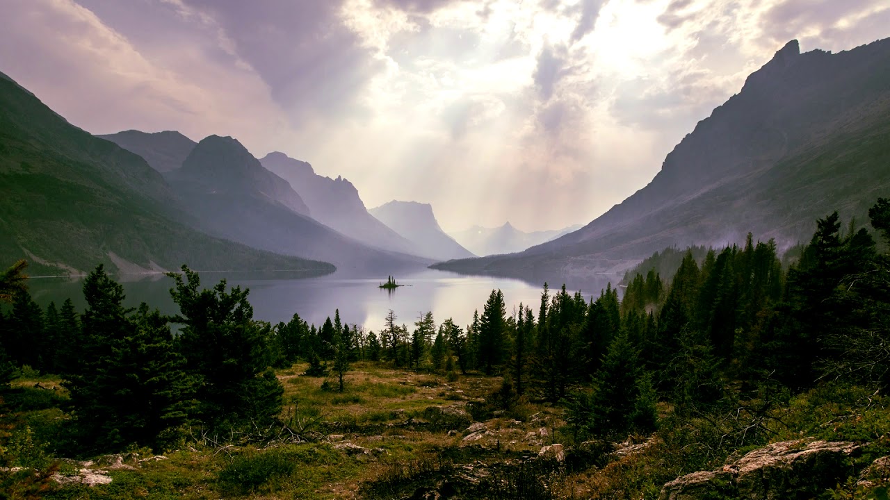 Sleeping Forest - Rise Of Nature - YouTube