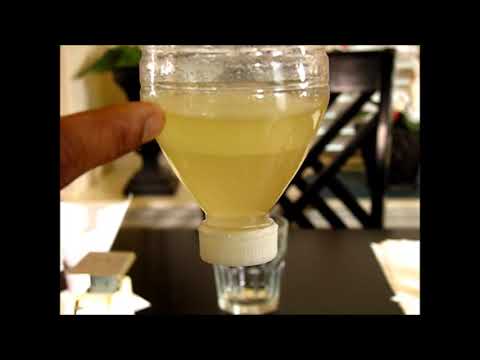 HoLa-ChemEx-2_Extraction Two Phase Separation - YouTube
