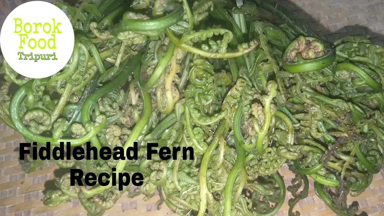 Fiddlehead Fern Tripuri Recipe // Mwikhonchok Mui // Borok Food Tripuri ...