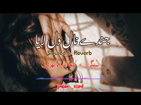 Jinde Naal Dil laya  { Slowed+Reverb } || Super Hits Saraiki Songs || slowed new song 2024 | Saraiki