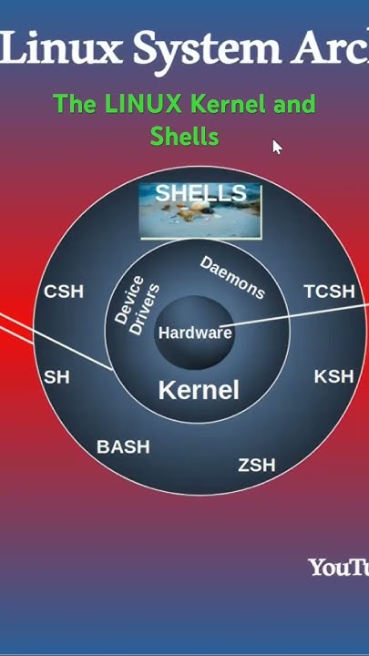 The LINUX Kernel and Shells #shells - YouTube
