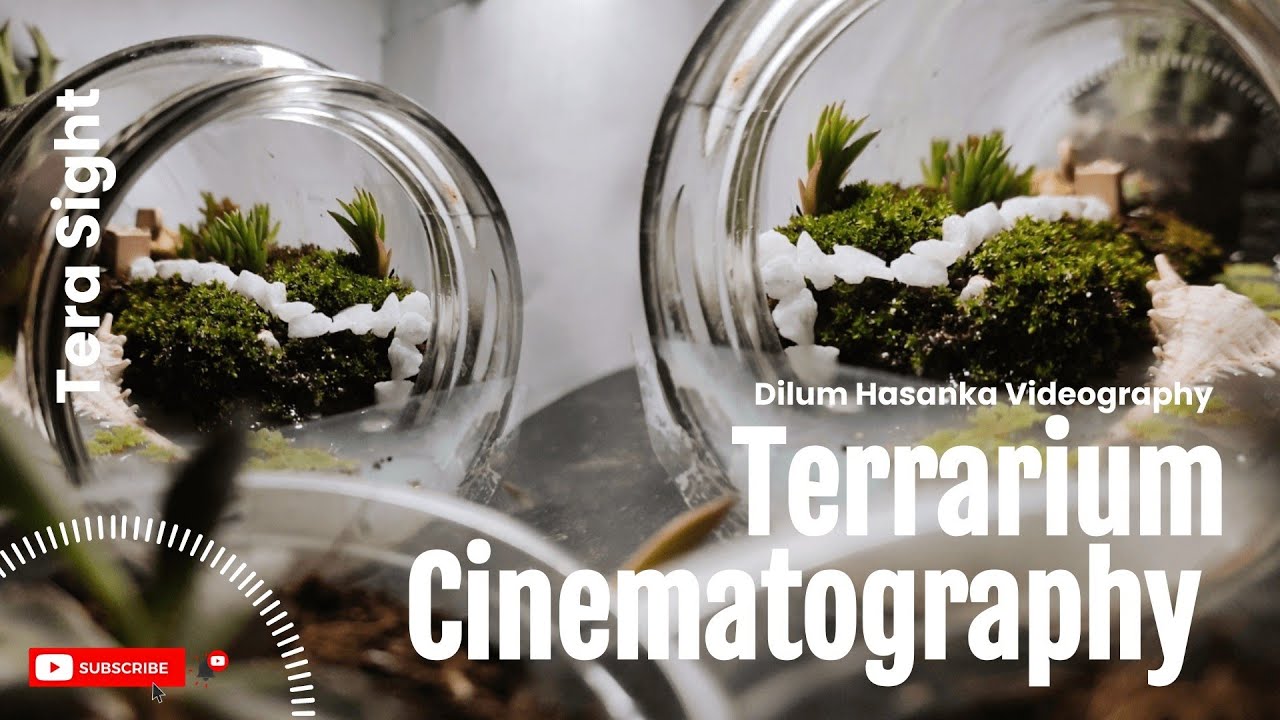 Terrarium Cinematography | Terrarium Nature | Redmi Note 10 Pro - YouTube