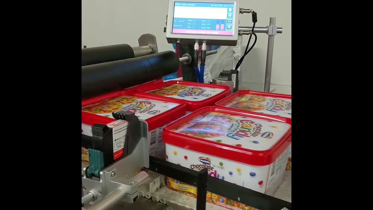 SNEED-JET Titan 22 Dual Head Inkjet Printer Date Coding Plastic Cookie ...