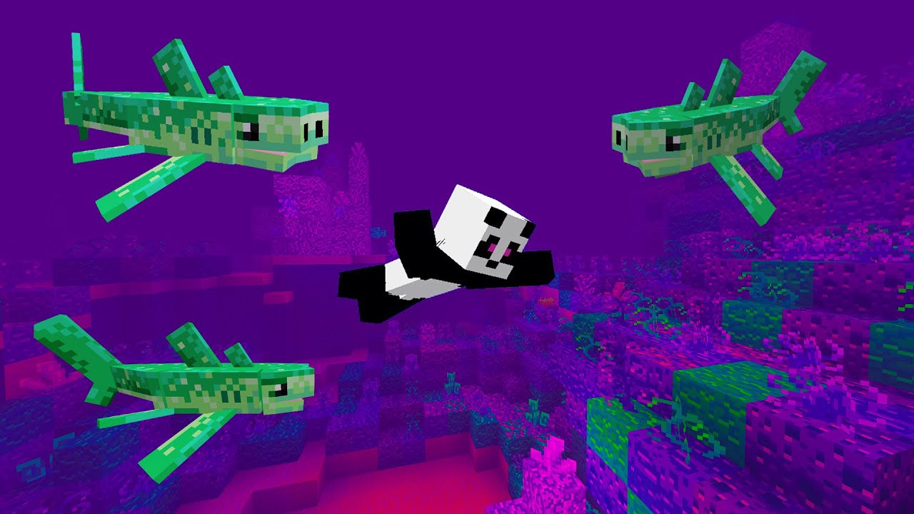 AM GASIT RECHINI in MINECRAFT!😲 - YouTube