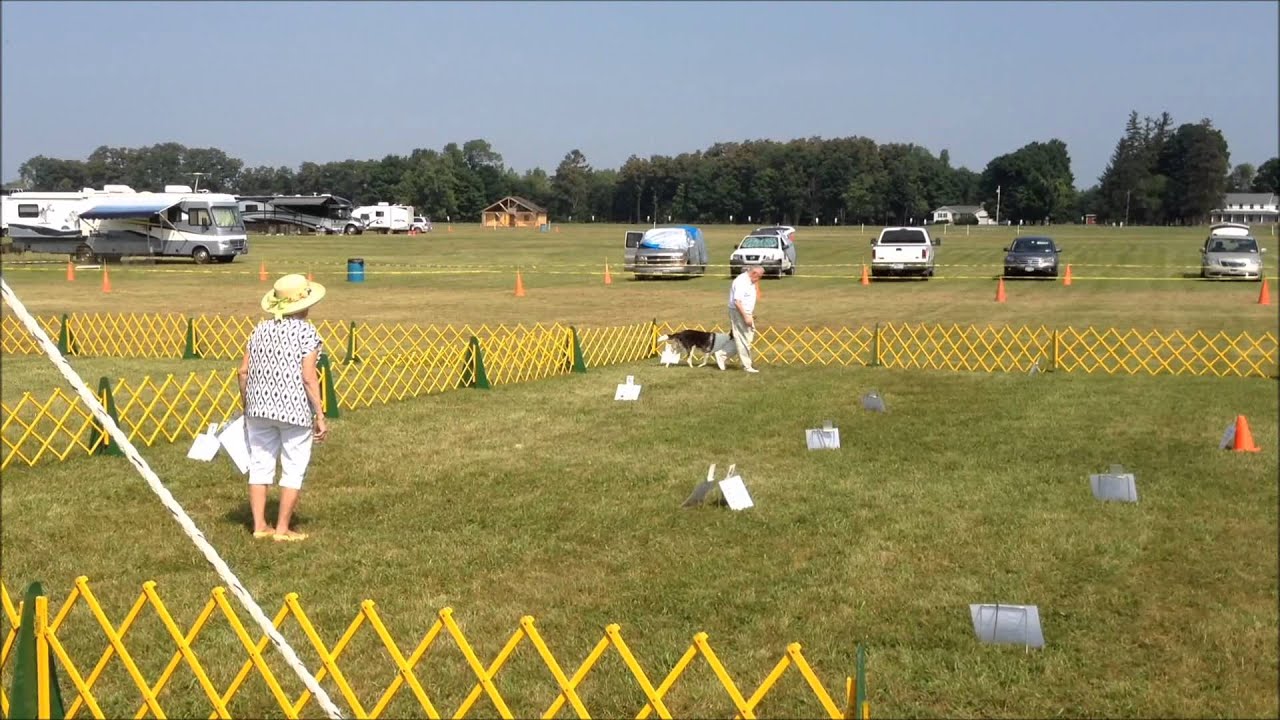 Rally Novice Title - YouTube