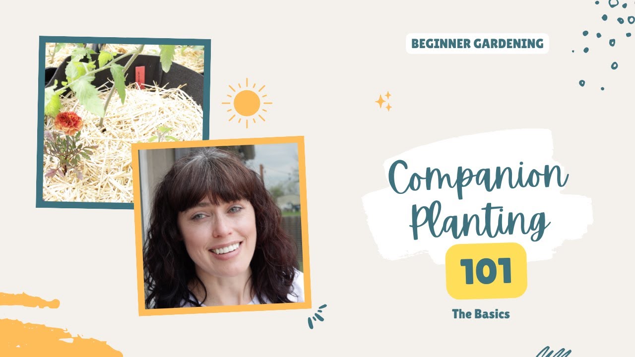 Companion Planting 101 - YouTube