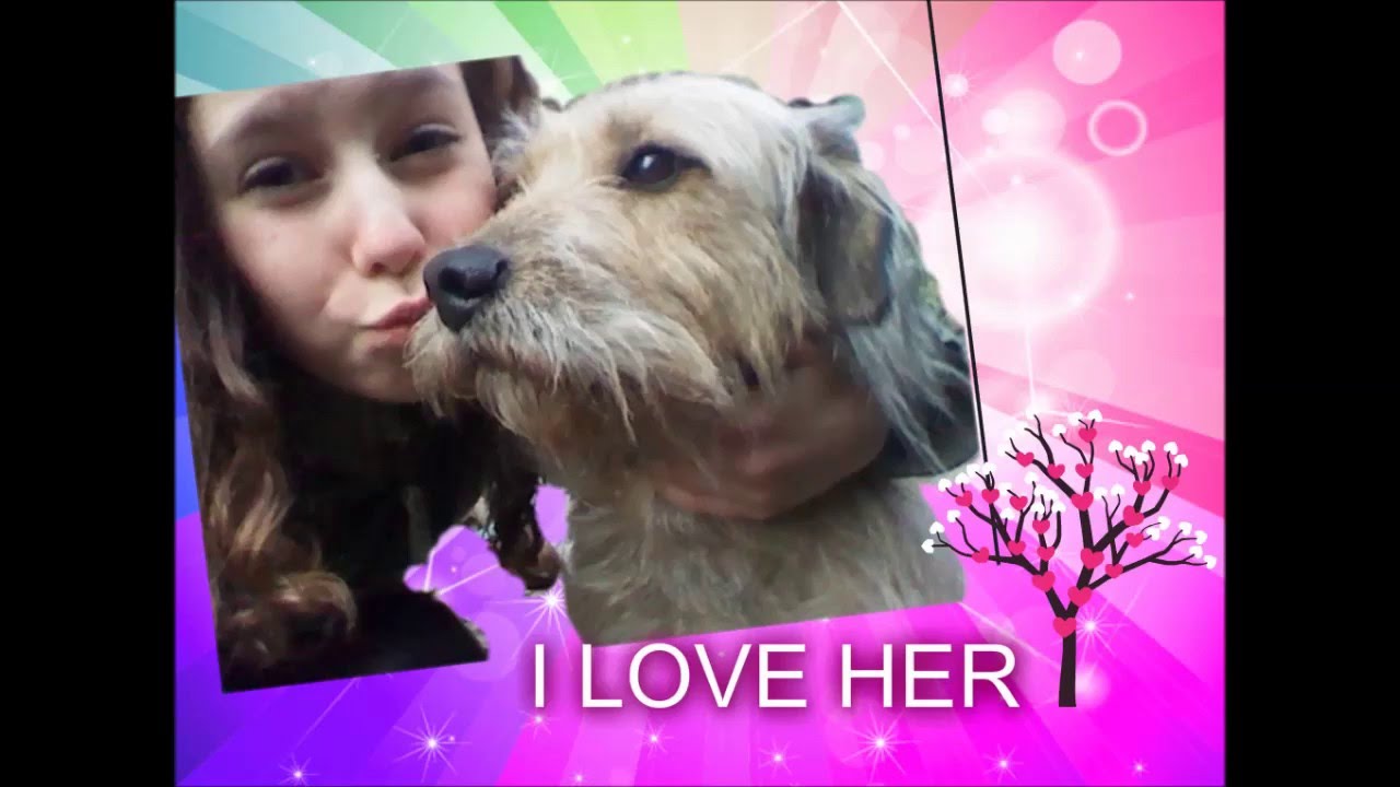 Uvítací video :) | Kaja and Animals - YouTube