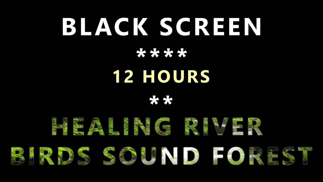 Healing River w/ Birds Sound Forest | Nature Sound for Sleeping ...