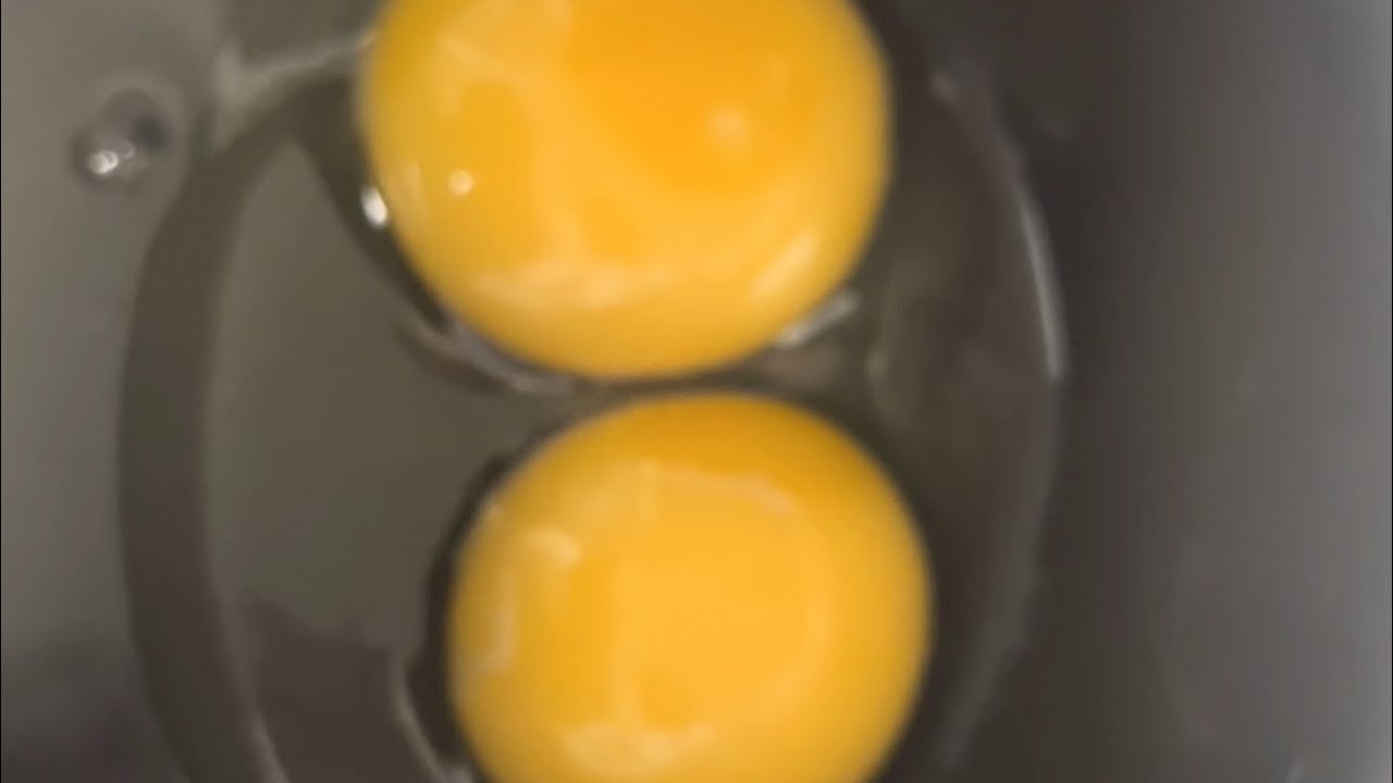 Double yolks and fun - YouTube